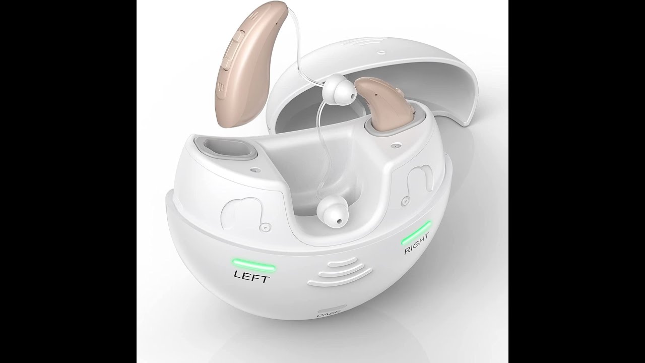 Teorite OTC Hearing Aids with Double Noise Cancellation, Portable ...