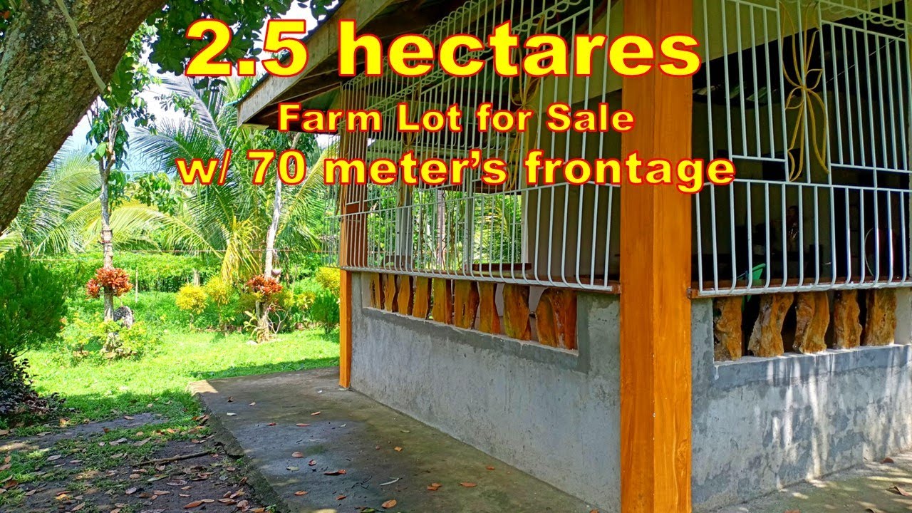 FARM LOT FOR SALE (PROP# 152) 2 HECTARES, SAN PALO CITY, LAGUNA - YouTube