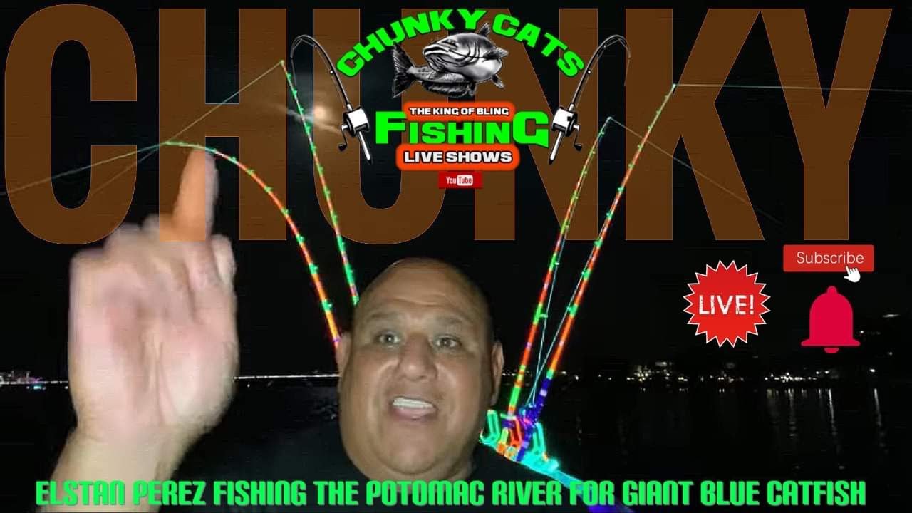 🔴 Chunky Cats Fishing - Monster Fish! - YouTube