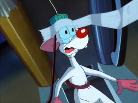 Pinky y Cerebro - Curso de represión de sentimientos