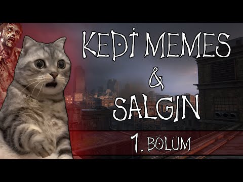 Kedi Memes & Salgın | 1.Bölüm | Mini Dizi