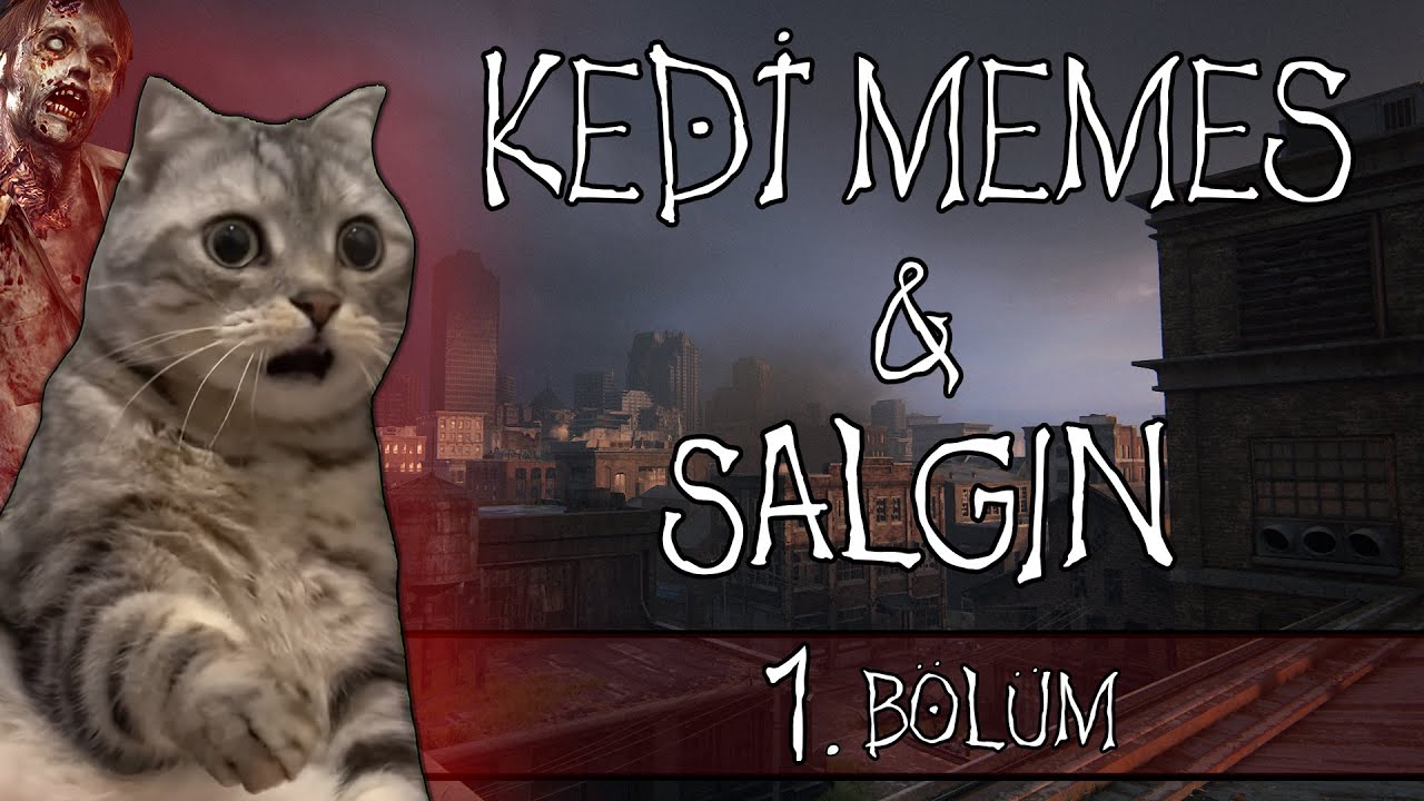 Kedi Memes & Salgın | 1.Bölüm | Mini Dizi - YouTube
