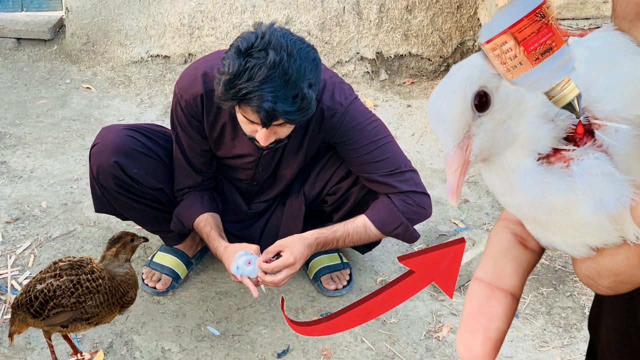 Khumry ko kahen virus to nahi lag gai🥲 - YouTube