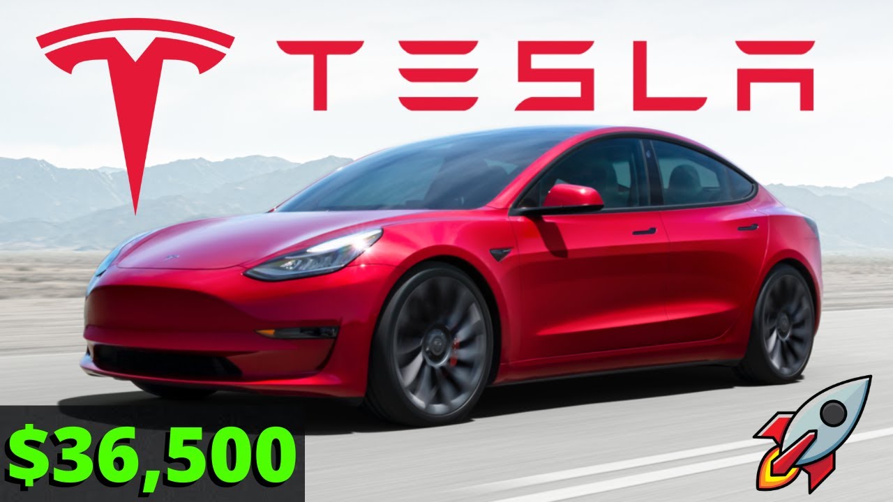 Why I Just Shorted $11,000 Worth Of Tesla Stock (TSLA Stock) - YouTube