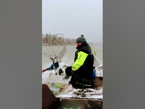Щук искать - YouTube