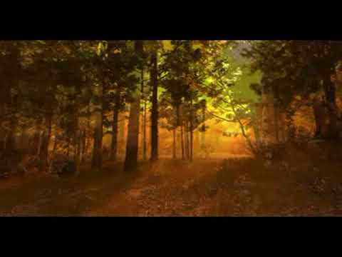 - GEDIREM -  muellif : SEKINE ELIYEVA  seslendirdi: YAQUB MEHDİYEV  2017.