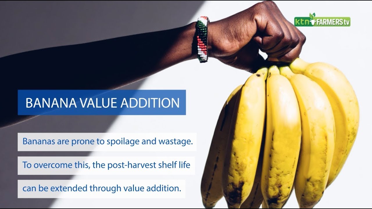 5 Products You Can Make From Banana Value Addition Youtube