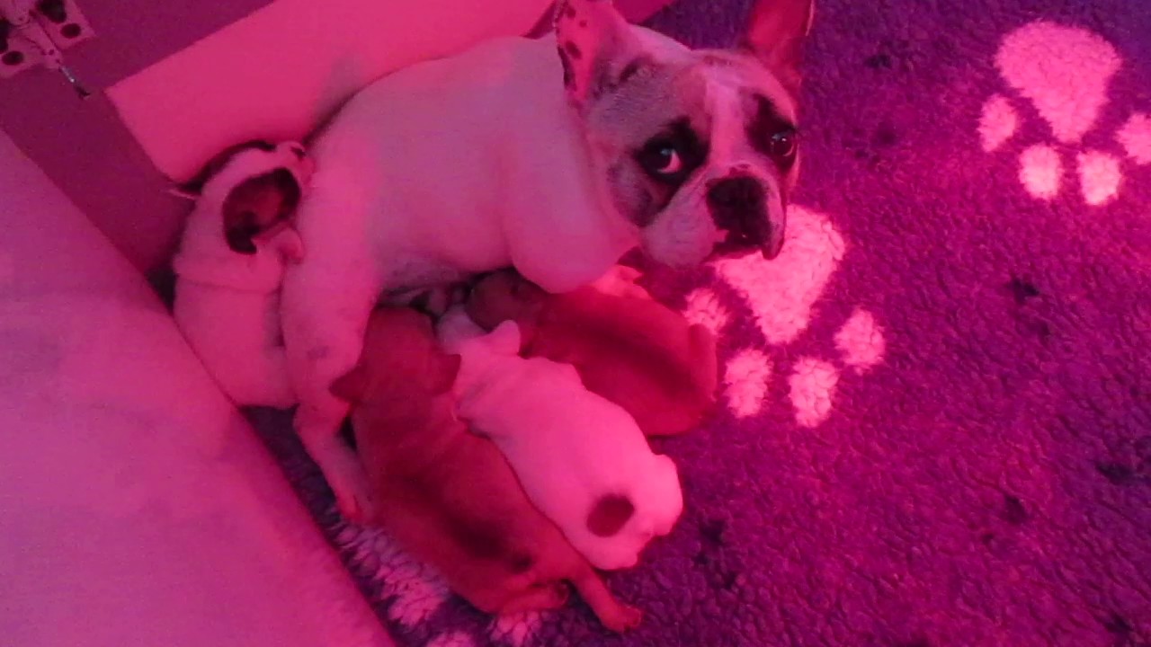 Less'Kiss est très sérieuse... - YouTube