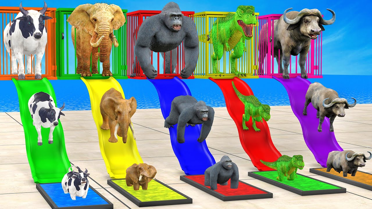 DON'T Choose The WRONG WATER SLIDE With Cow Elephant Gorilla Dinosaur ...