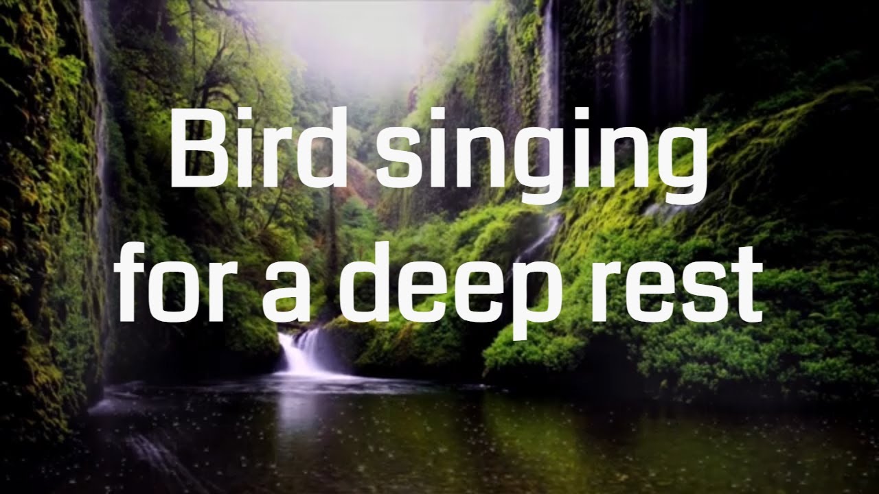 Soft waterfalls and light rain to relax - YouTube