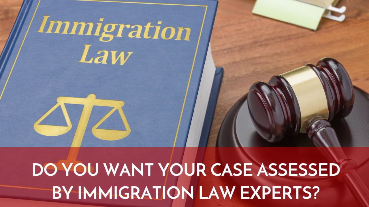 Section 61 New Zealand Immigration - YouTube