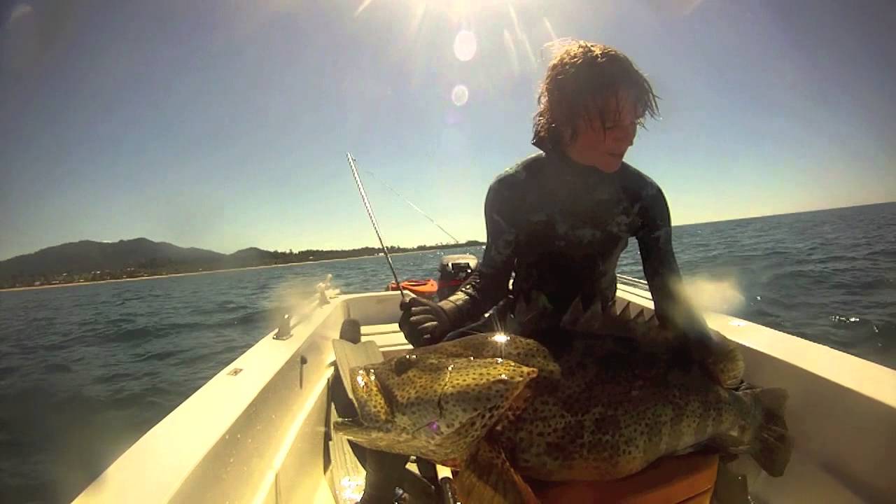 spearfishing great barrier reef - YouTube