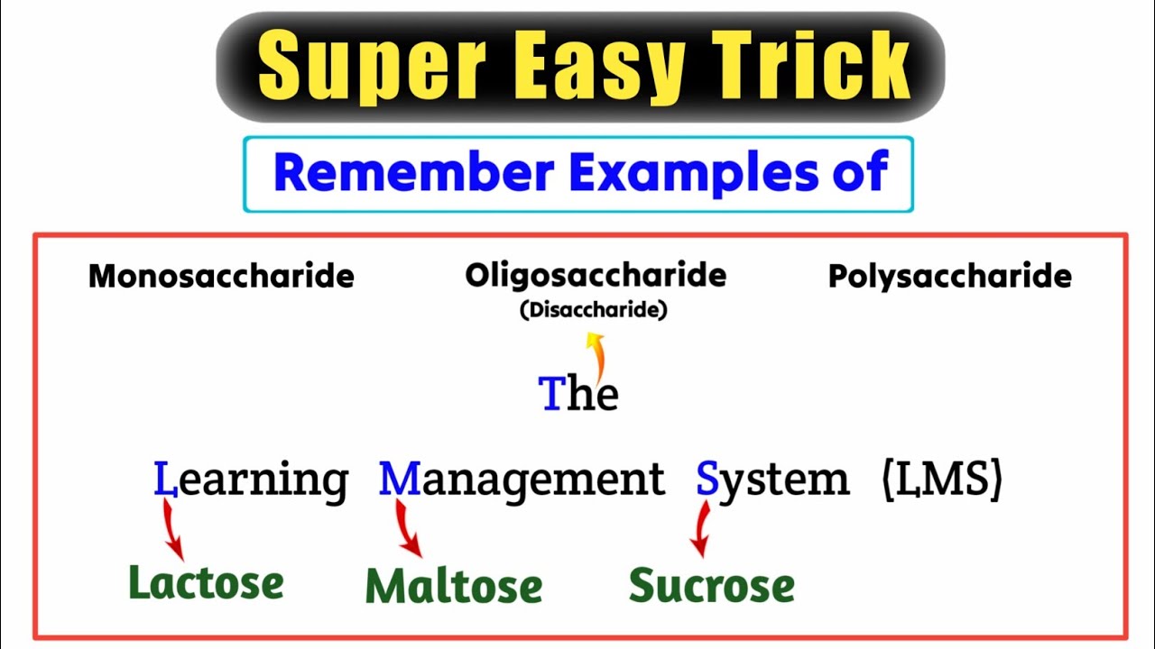 Structure Of Monosaccharides Disaccharides And Polysaccharides