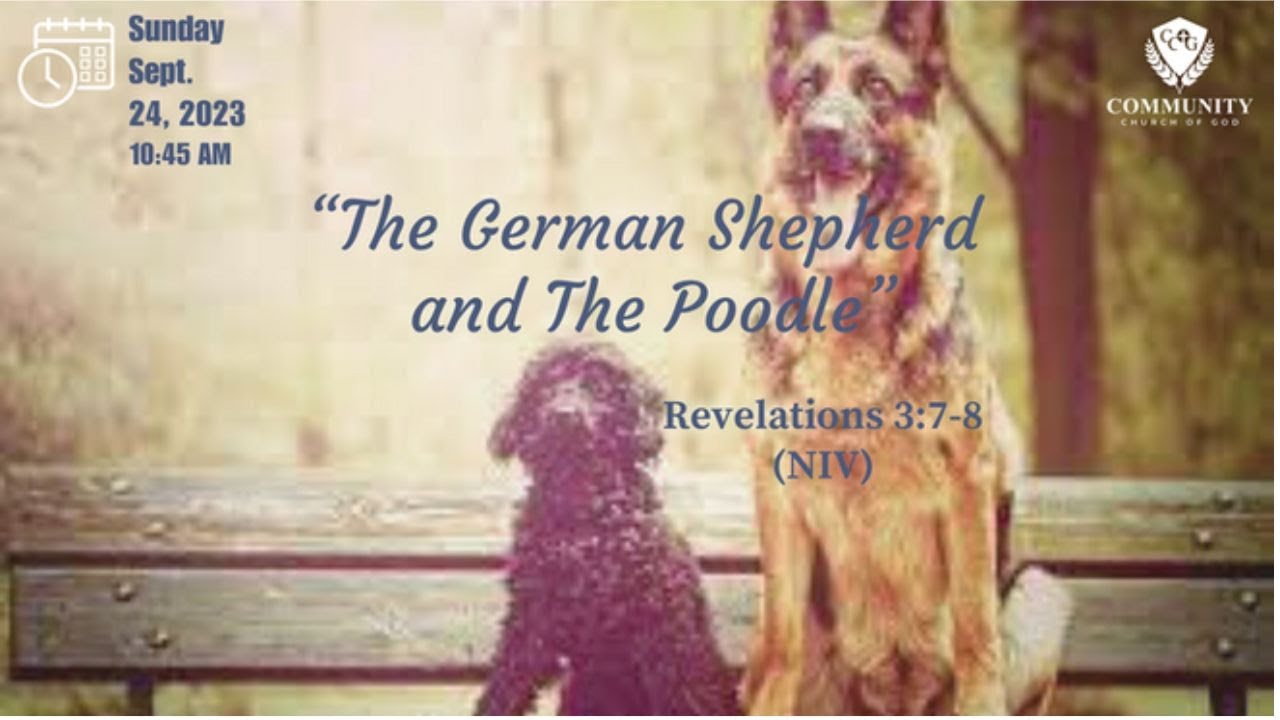" The German Shepard and the Poodle " - YouTube