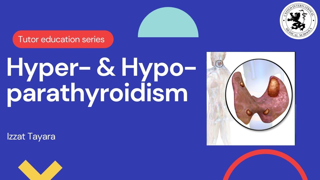 Pathophysiology of Hyper/Hypoparathyroidism - YouTube