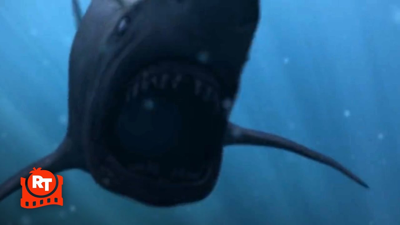 Ice Sharks (2016) - Swimming With Sharks Scene | Movieclips - YouTube