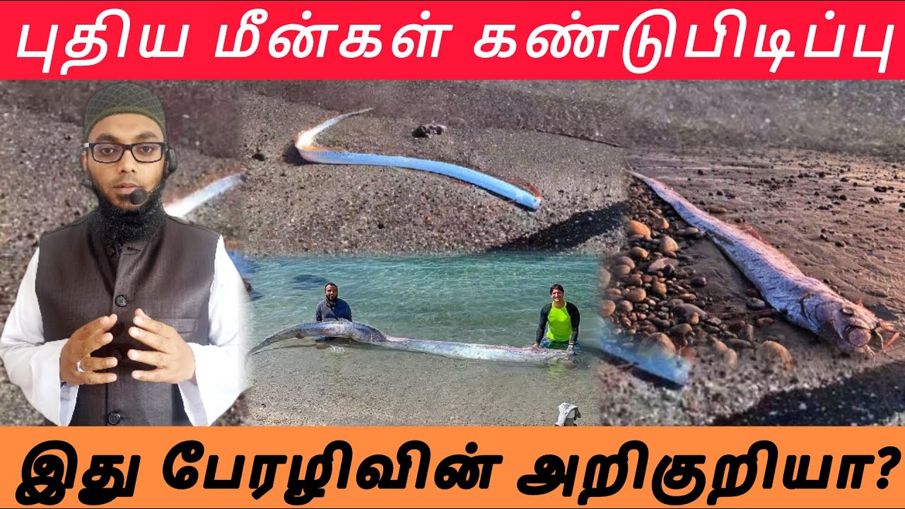 Doomsday Fish | Arham Usmani Umari - YouTube