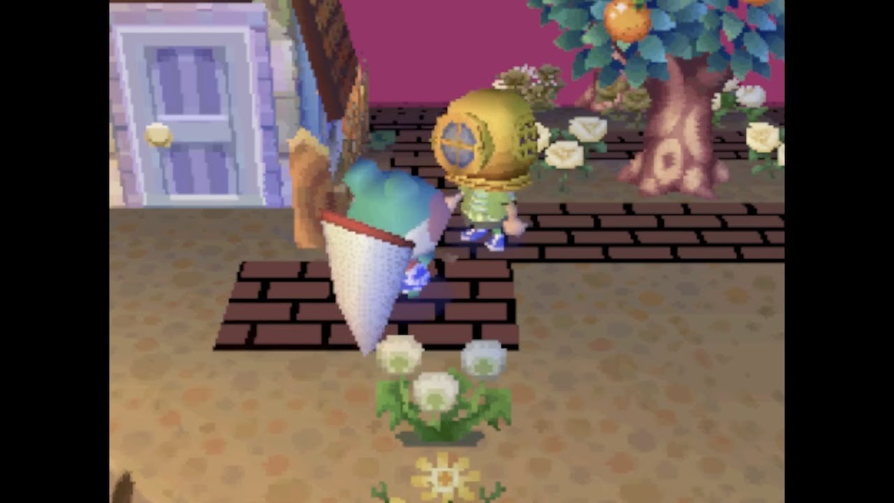 [ROM] Animal Crossing: Wild World (Bonus Day #31) "It's my Playthrough ...