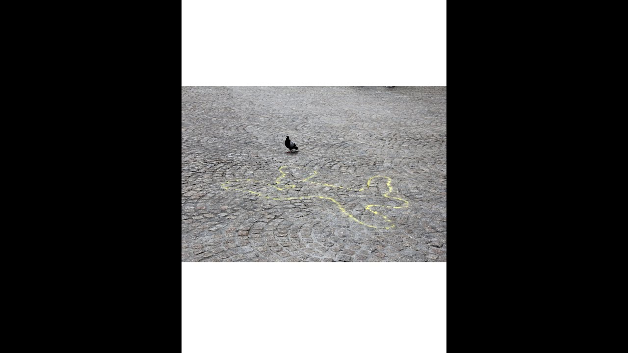 The Black Widow: Stacey Ruth Castor's Dark Tale - YouTube