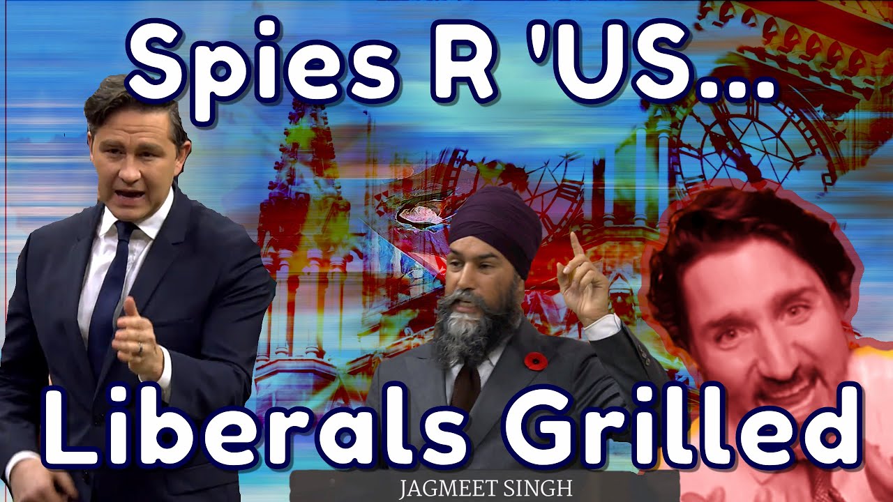 MP Chong & Pierre Poilievre Grill Gov't MP Spies & Bloc Get's Heated ...