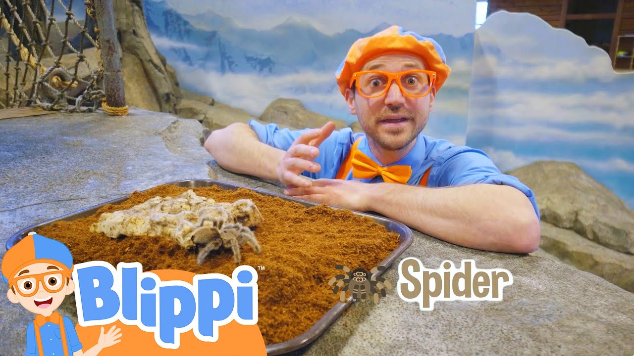 Blippi at the Zoo - Feeding the Animals | Learning Videos For Kids ...