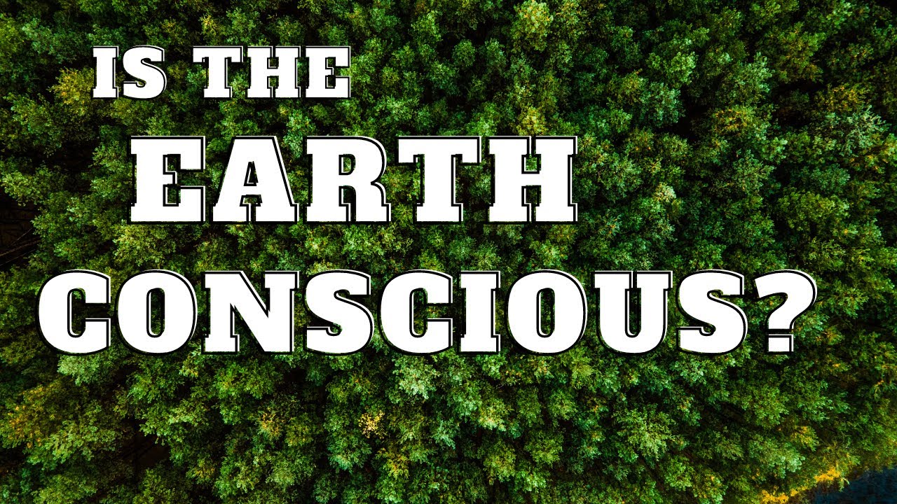 The Earth is Conscious - Brian | Street Epistemology - YouTube