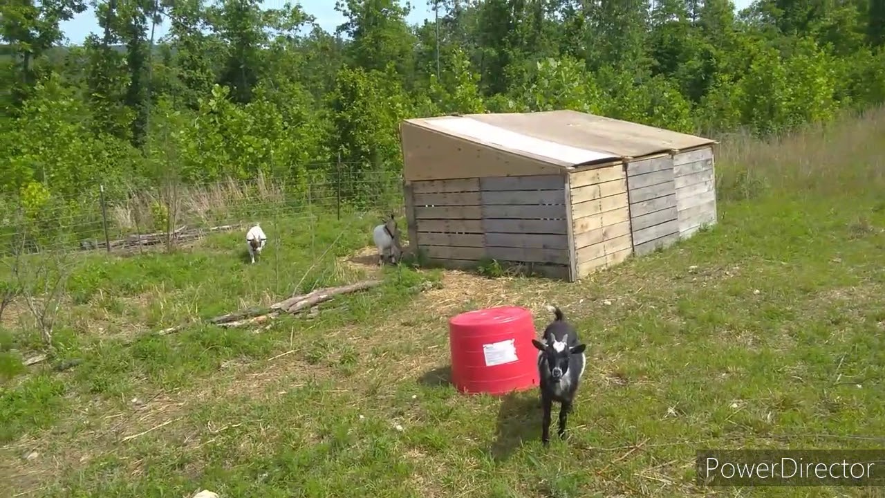Goat's driveway, composting toilet. - YouTube