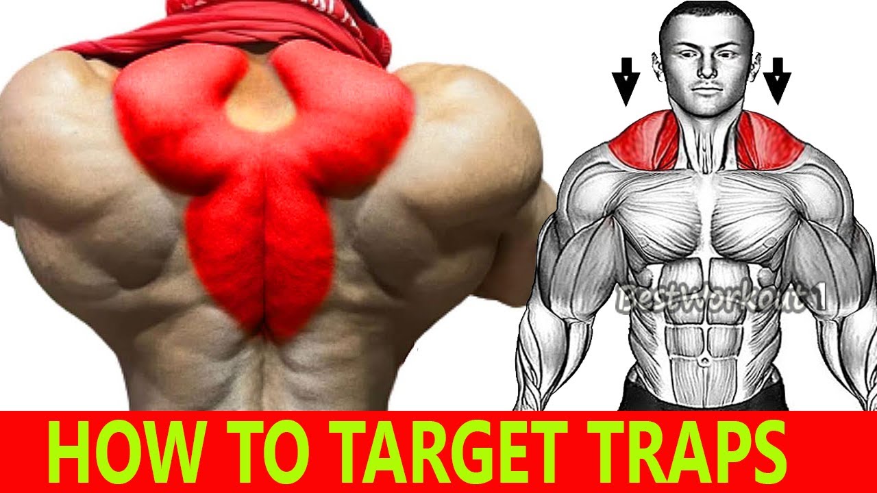 Massive Traps Workout : Build Thick, Strong Trapezius Muscles - YouTube