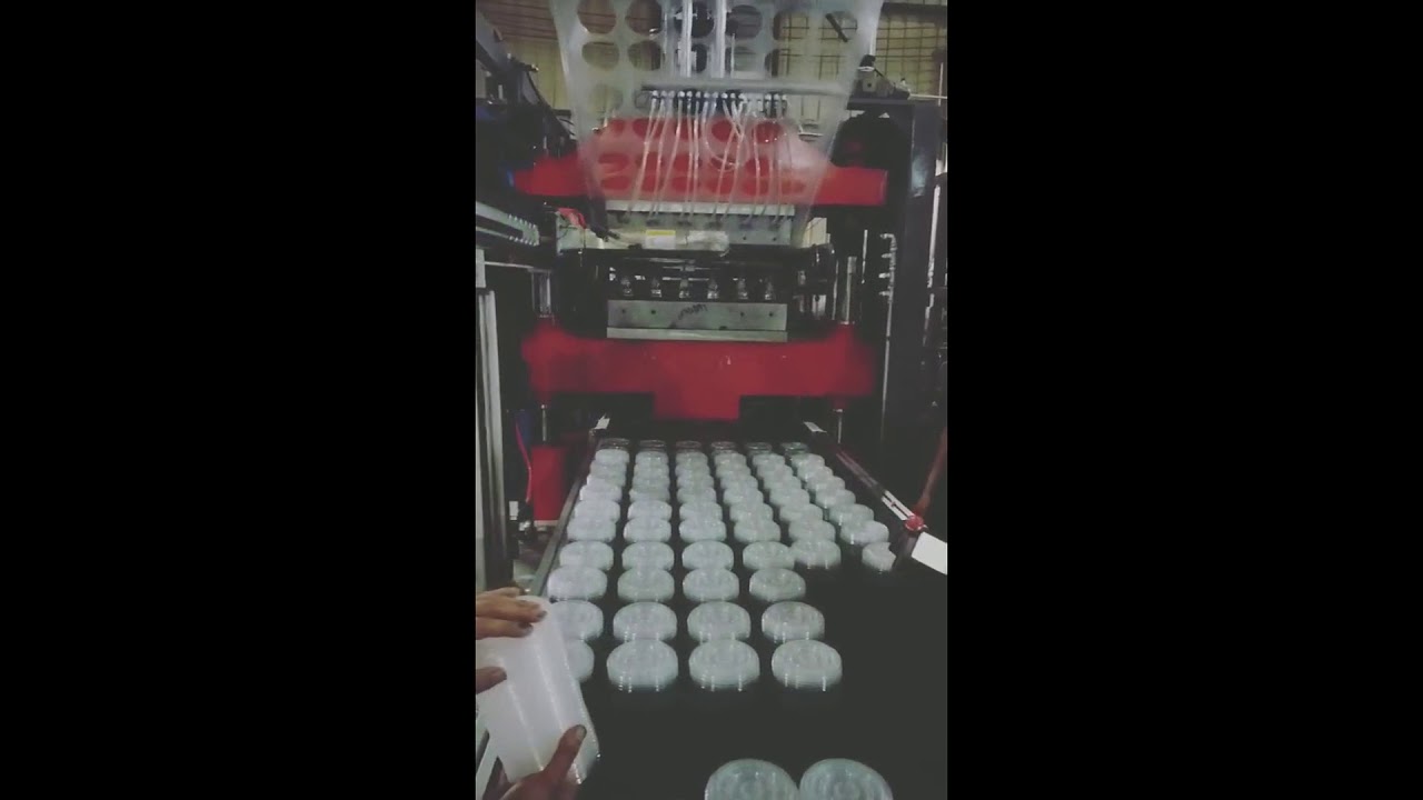 Plate Tray Cup Bowl lid Cam Thermoforming Machine With Robot Stacking Machine - YouTube