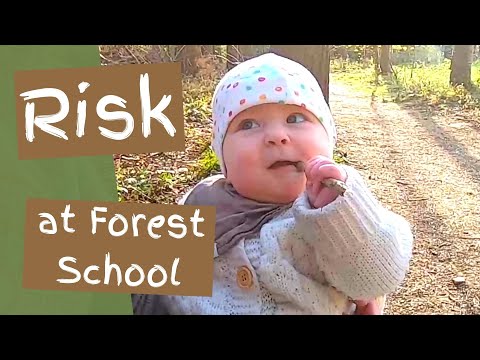 What Is Risk Management Forest School