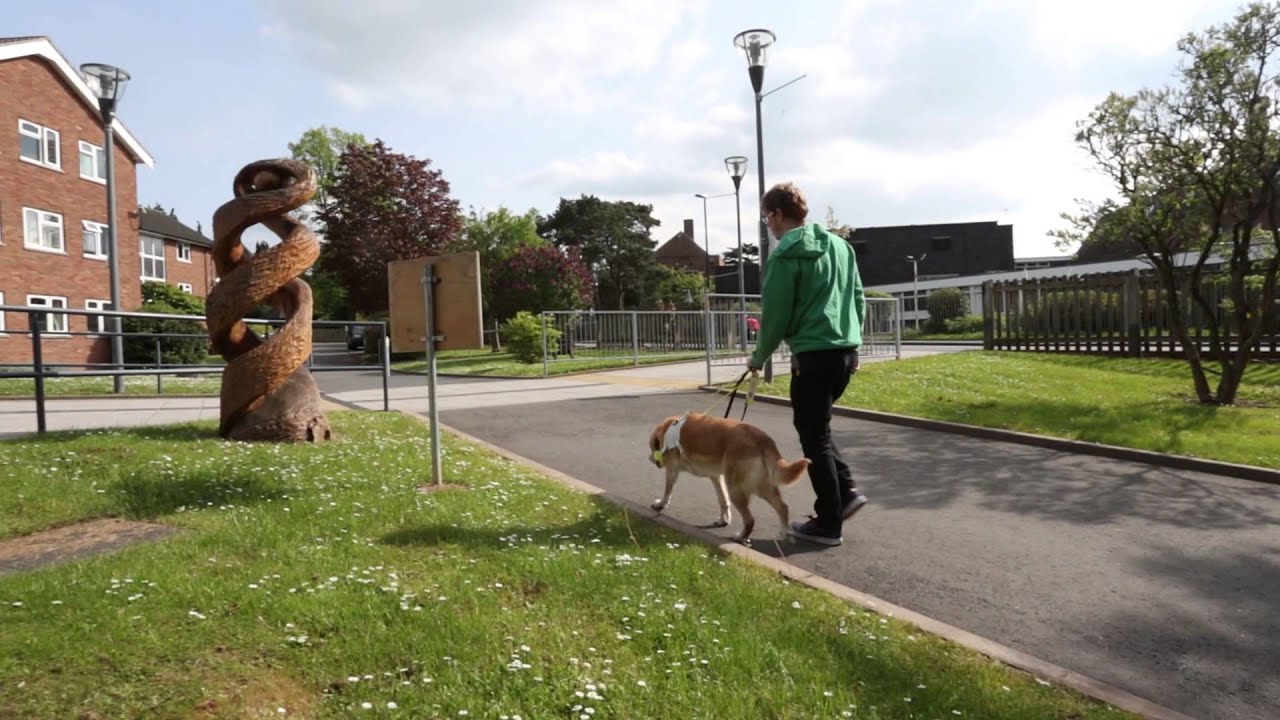 VISUALISE: Peter Frisby Personal Experiences - YouTube