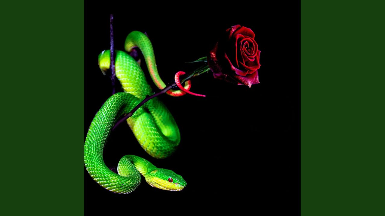 ReRe (feat. Yike & 2officialtae) - YouTube