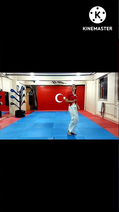 Beautiful Kicking Skills From Black Belt Taekwondo Girl ! #tkdgirl #martialartist #blackbelt # ...