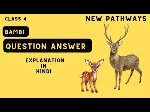 QUESTION ANSWER | BAMBI |CLASS 4| new pathway English bambi - YouTube