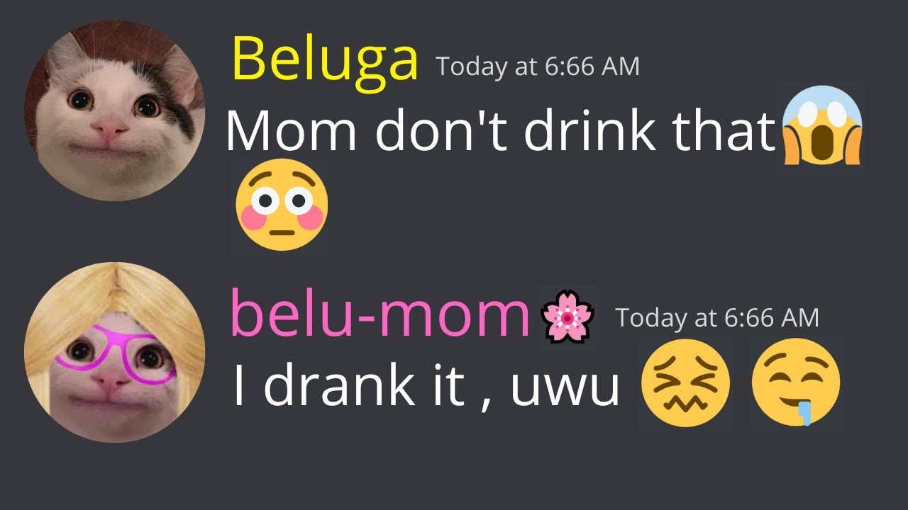 When Your belu-mom🌸 Gets Drunk... | Beluga - YouTube