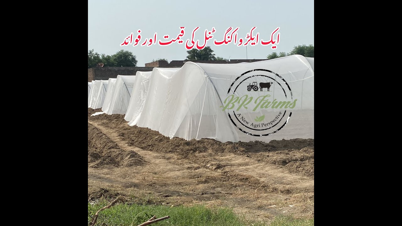 Tunnel Farming for Agriculture | Tunnel Farming Structure Price and ...