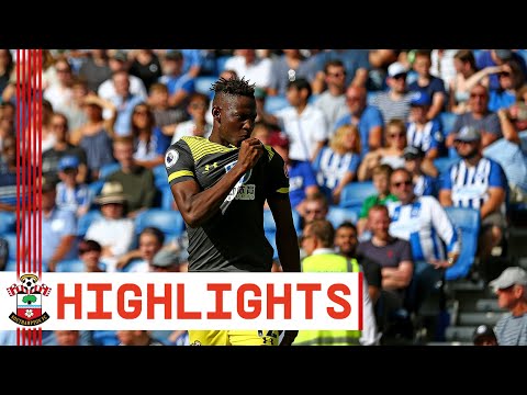 90-SECOND HIGHLIGHTS | Brighton & Hove Albion 0-2 Southampton