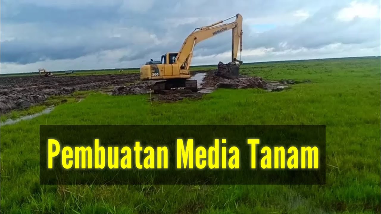 excavator gali parit cacing/fielddrain || Pentingnya parit kebun sawit ...