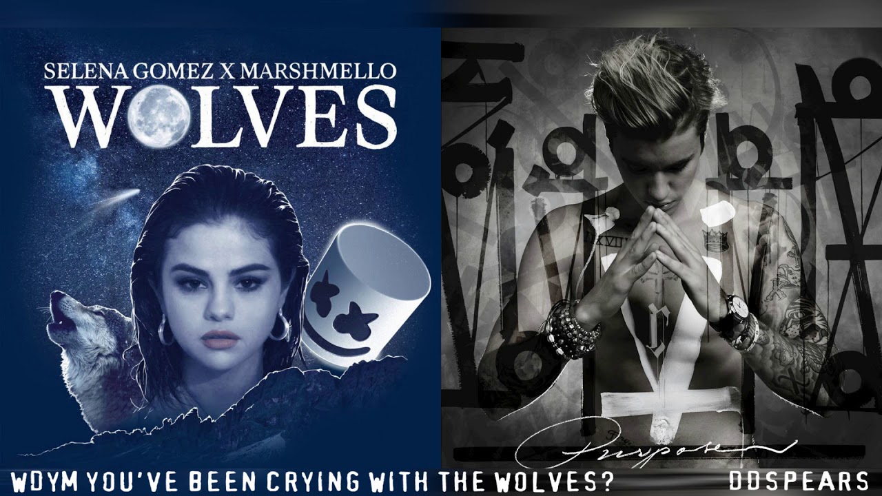 WOLVES/WHAT DO YOU MEAN - Selena Gomez, Justin Bieber, Marshmello ...