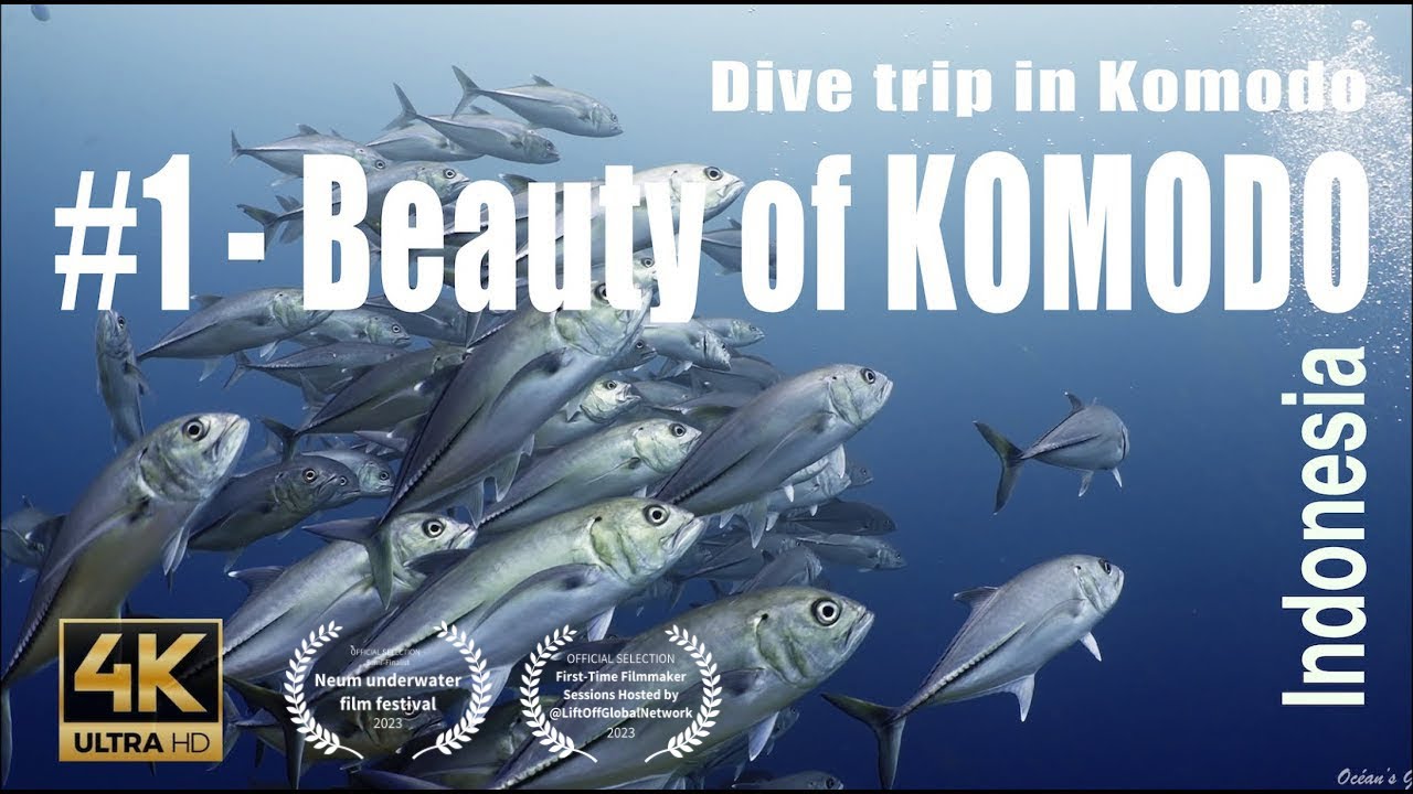 Komodo #1 : The Beauty of Diving in the Komodo Archipelago - 4k ...