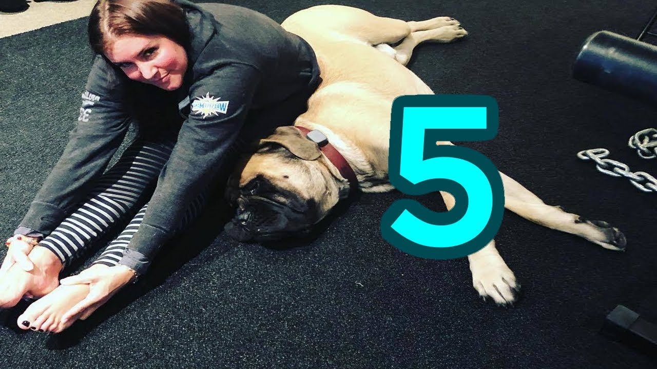 Stephanie Mcmahon Barefoot Midnight Workout collection. #5 - YouTube