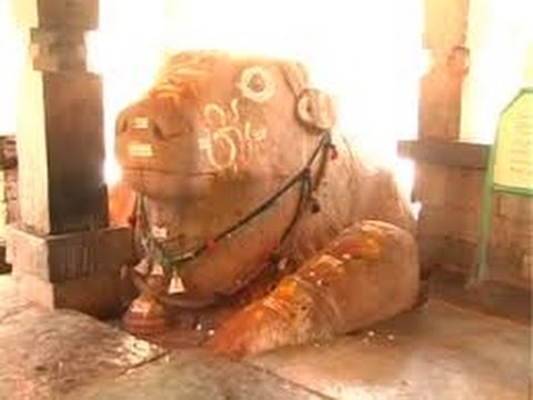 Growing Nandi - Yaganti - YouTube