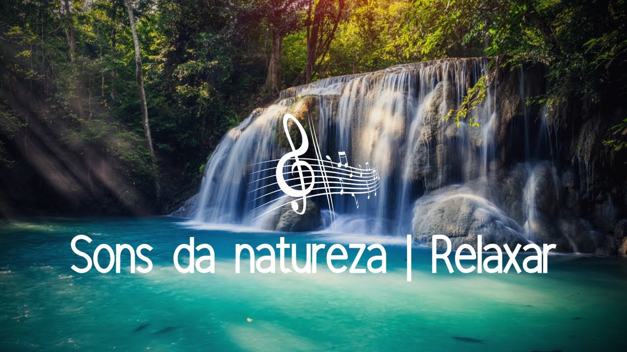 Som De Natureza Para Relaxar , Som da Floresta Amazônica – AJRATW