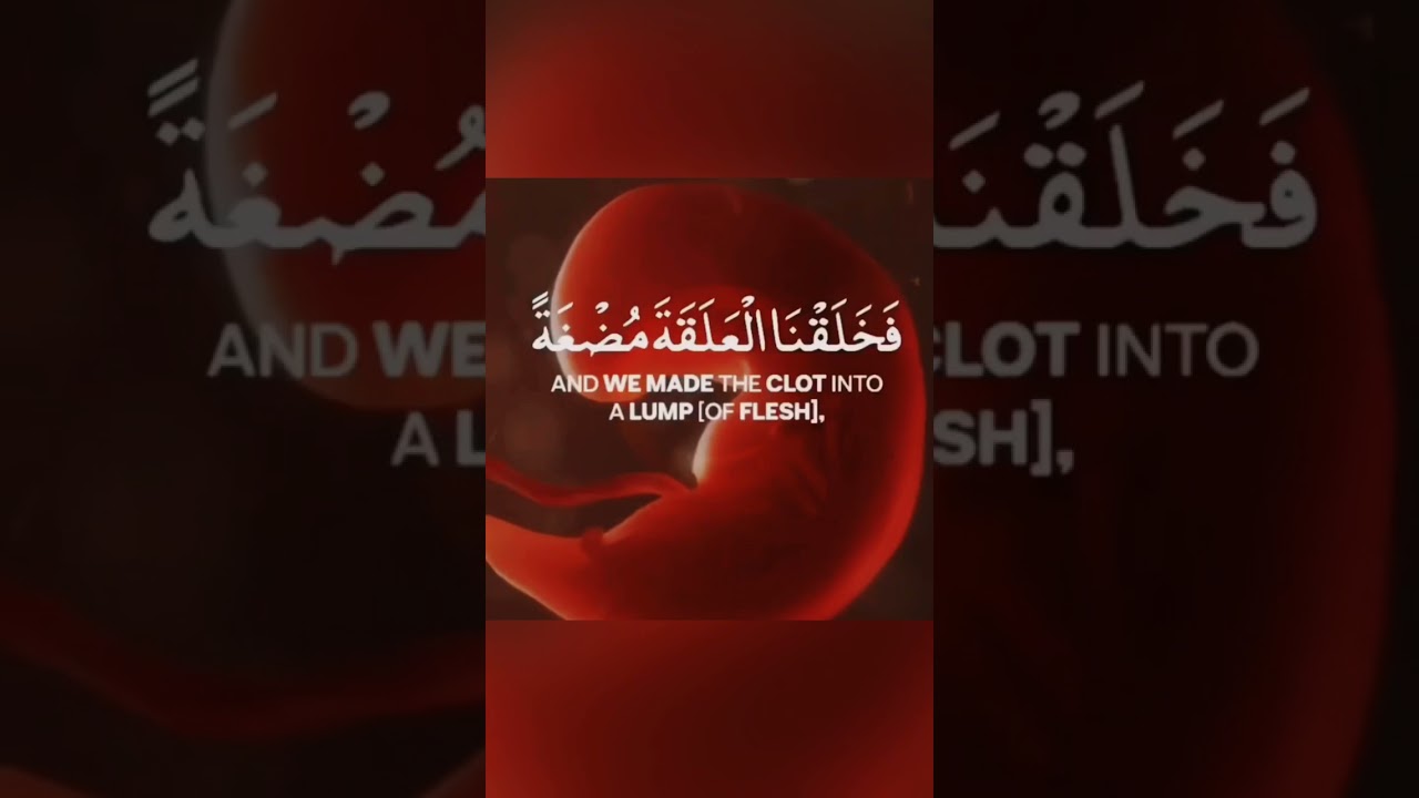 How allah has created human? - YouTube