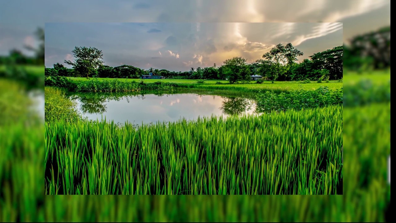 Beautiful Nature with slow motion Music Slideshow - YouTube