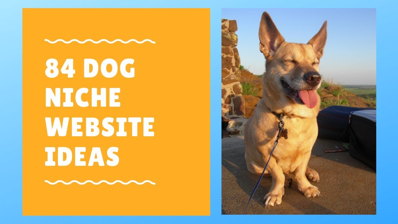 84 Dog Niche Website Ideas - YouTube