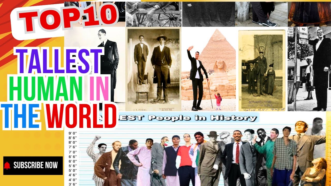 top 10 tallest people recorded in history - YouTube
