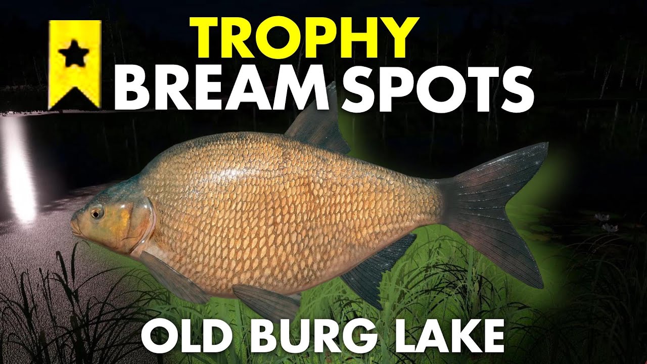Russian Fishing 4 TROPHY BREAM SPOT Old Burg Lake - YouTube