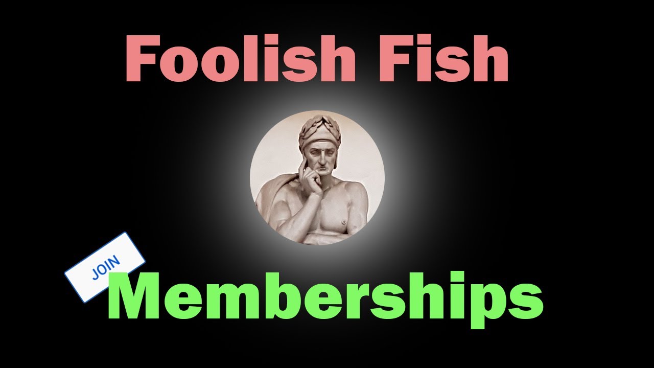 Foolish Fish Memberships are live! :) - YouTube