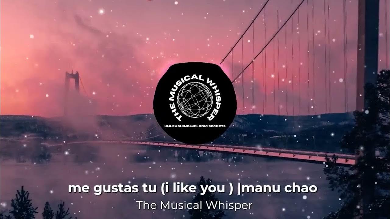 me gustas tu (i like you ) |manu chao | easy lyrics | with english ...